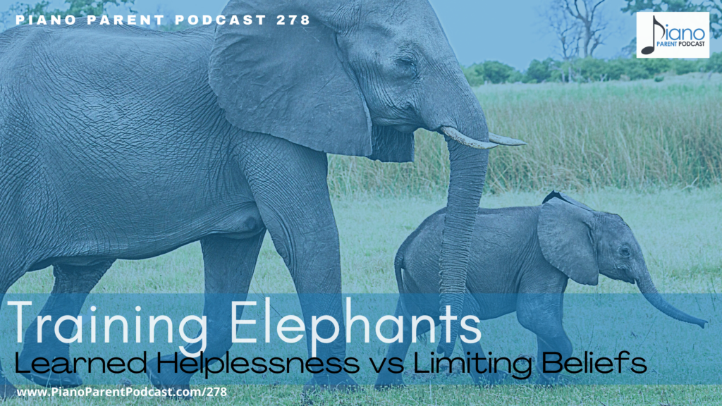 PPP278: Training Elephants - Learned Helplessness vs Limiting Beliefs ...
